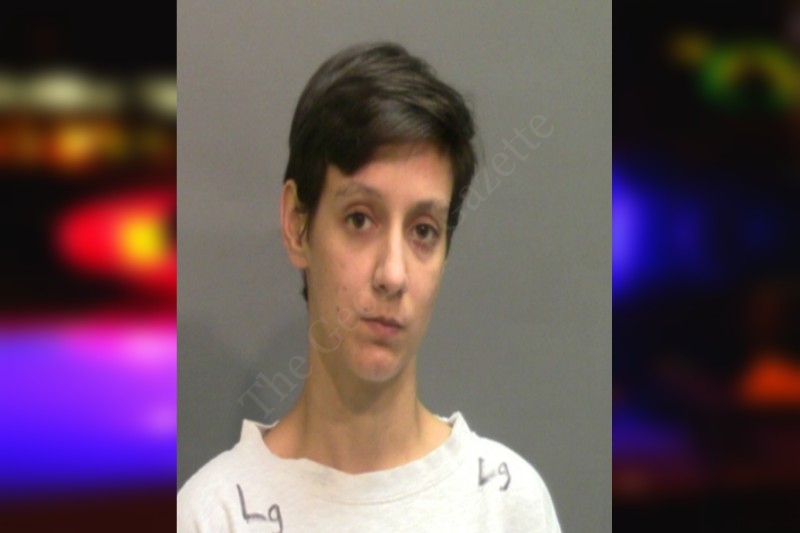 Emily Knipp — Glynn County Jail Bookings Emily Knipp — Glynn County Jail Bookings
