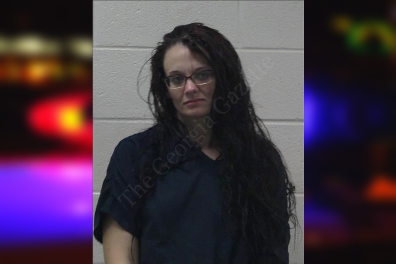 Crystal Durley — Gilmer County Jail Bookings