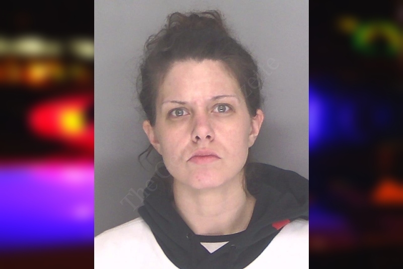 Kayleigh Finnan — Douglas County Jail Bookings