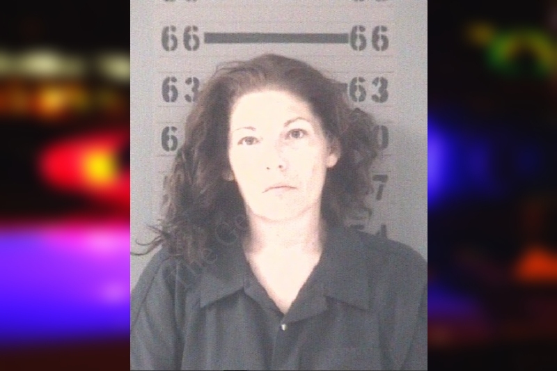 Courtney Washington — Dougherty County Jail Bookings