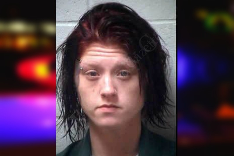 Alexys Ellis — Henry County Jail Bookings