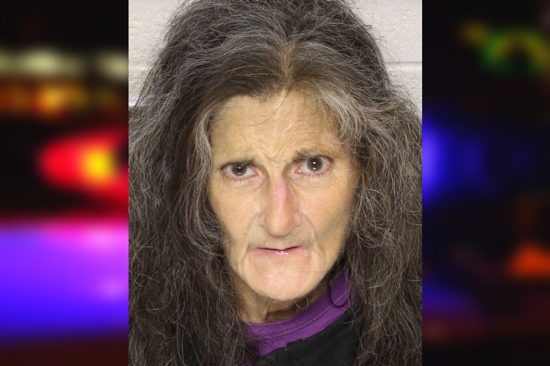 Deborah Burrell — Cobb County Jail Bookings