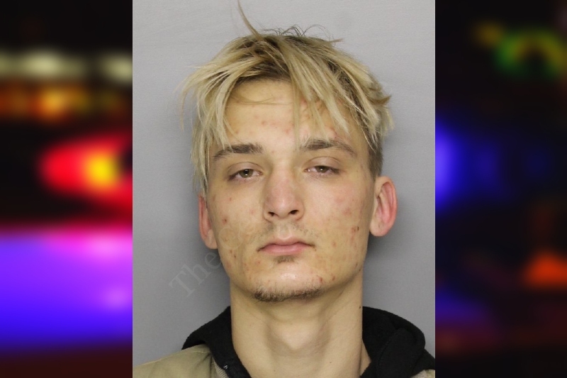 Layne Carter — Cobb County Jail Bookings