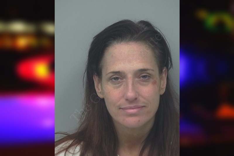 Ariella Connell — Gwinnett County Jail Bookings