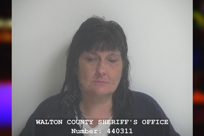 Terri Hicks — Walton County Jail Bookings