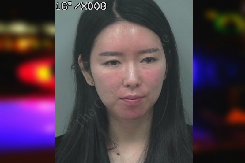 Yuna Jo — Gwinnett County Jail Bookings