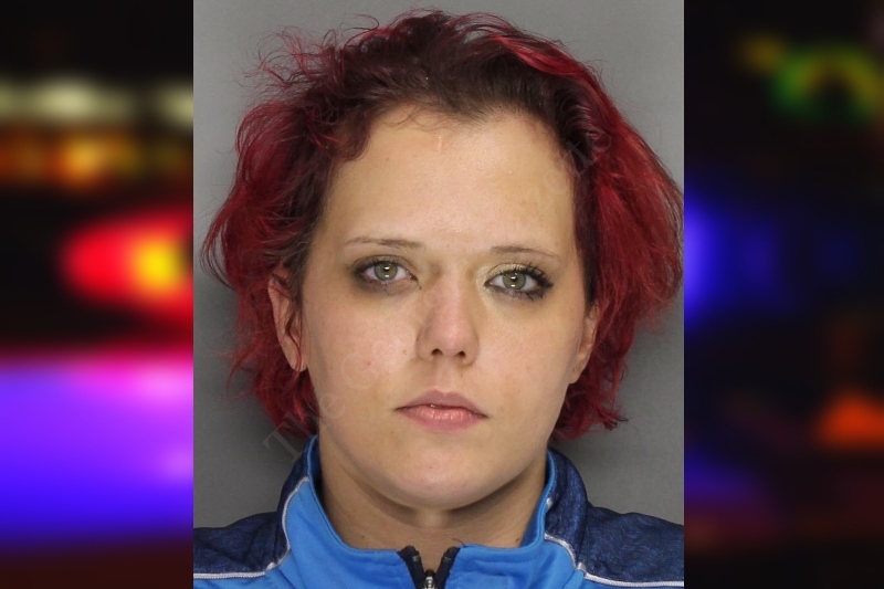 Misty Peterson — Cobb County Jail Bookings