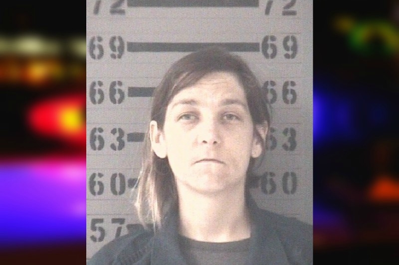 Brittany Priddy — Dougherty County Jail Bookings