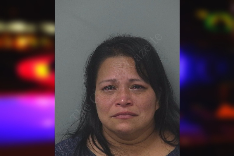 Iris Ramos | Gwinnett County