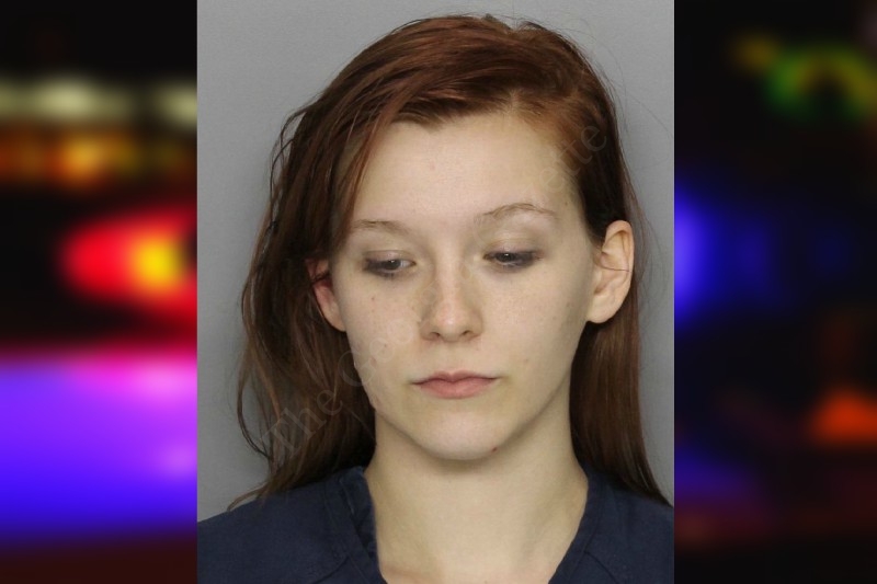 Kari Reeves — Cobb County Jail Bookings