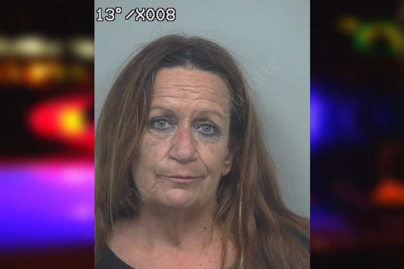 Cynthia Rudell — Gwinnett County Jail Bookings