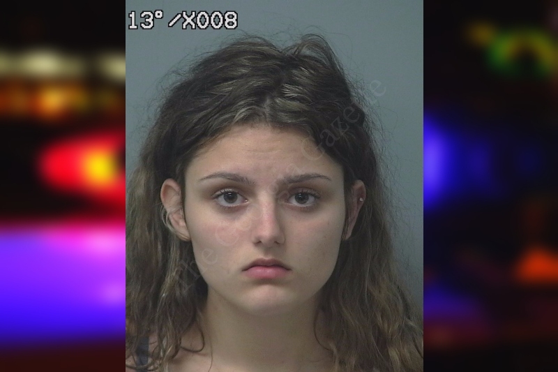 Hannah Wheeler — Gwinnett County Jail Bookings