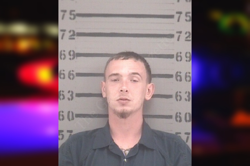 Brandon Maier — Dougherty County Jail Bookings