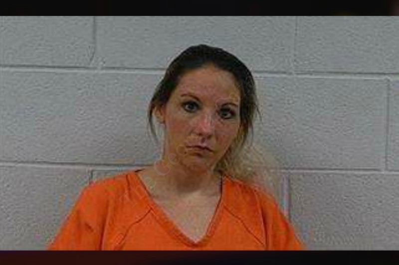 Kayla Fincher — Polk County Jail Bookings