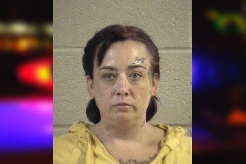 Jessica Wells — Whitfield County Jail Bookings