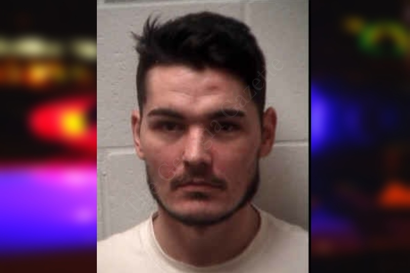 Christian Dutton — Henry County Jail Bookings