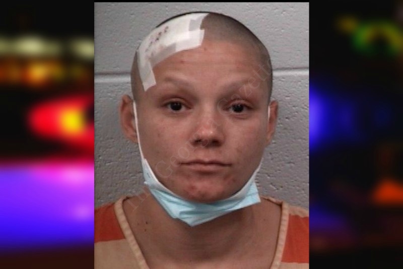 Jessica Upton — Paulding County Jail Bookings