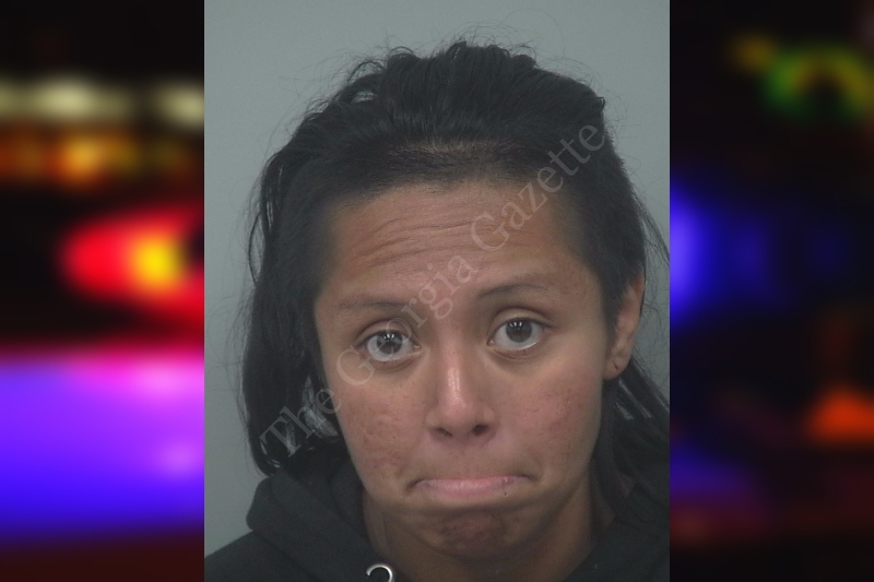 Perla Andrade — Gwinnett County Jail Bookings
