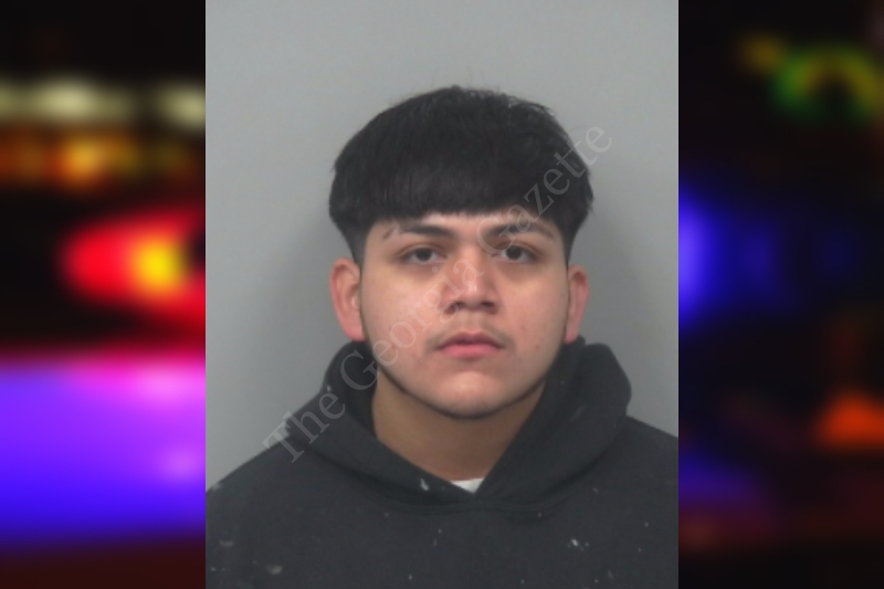 Brandon Galvan — Gwinnett County Jail Bookings