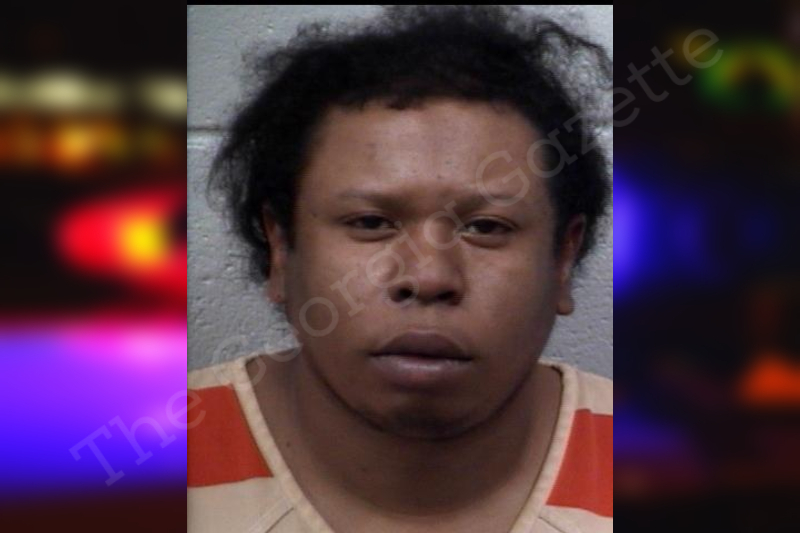 Steven Radney — Paulding County Jail Bookings