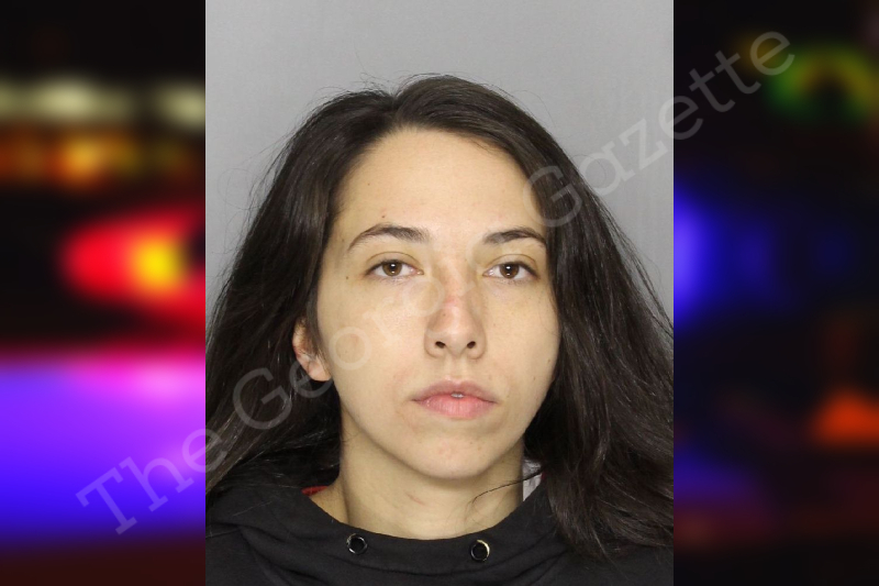 Alexis Lee — Cobb County Jail Bookings