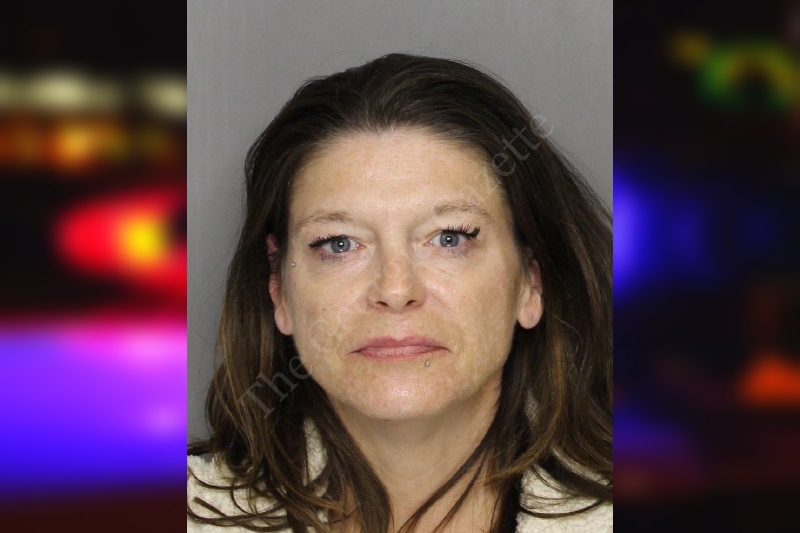 Tamara Rice — Cobb County Jail Bookings