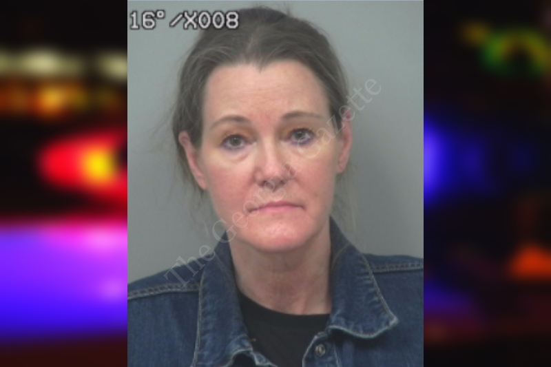 Amy Shea — Gwinnett County Jail Bookings