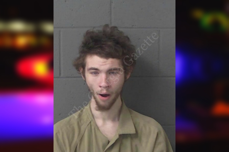 Dylan Mann — Newton County Jail Bookings