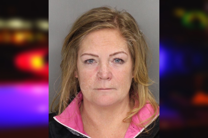 Heidi Martin | Cobb County