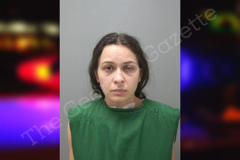 Chloe Driver — Cherokee County Jail Bookings