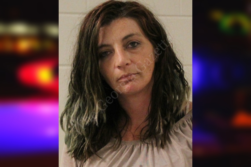 Summer Jackson — Houston County Jail Bookings