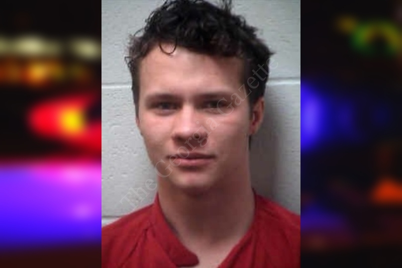 Gabriel Martin — Henry County Jail Bookings