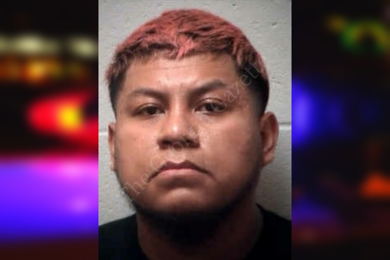 Adolfo Ramirez-Arias — Henry County Jail Bookings