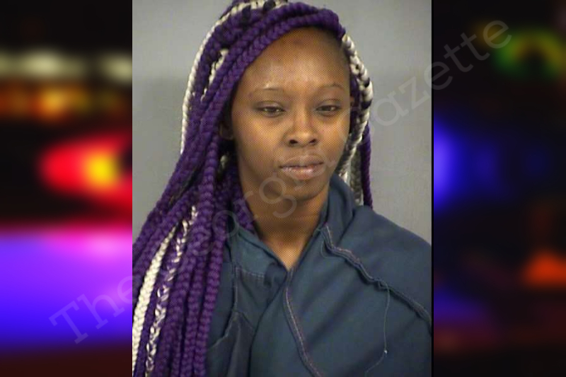 Amber Houston — Lowndes County Jail Bookings