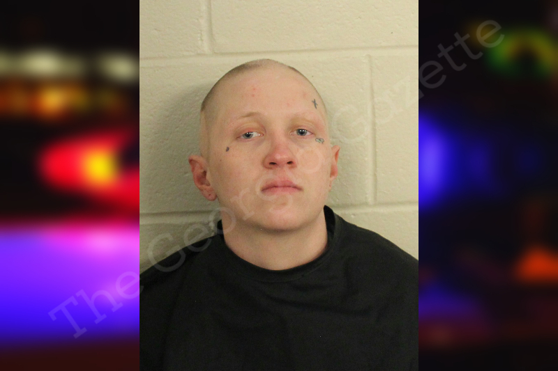 Hannah Carver — Floyd County Jail Bookings