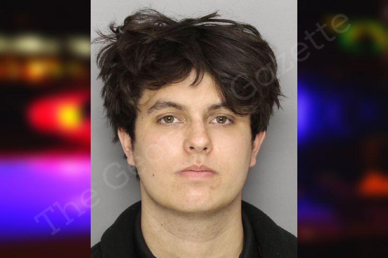 Austin Comer — Cobb County Jail Bookings