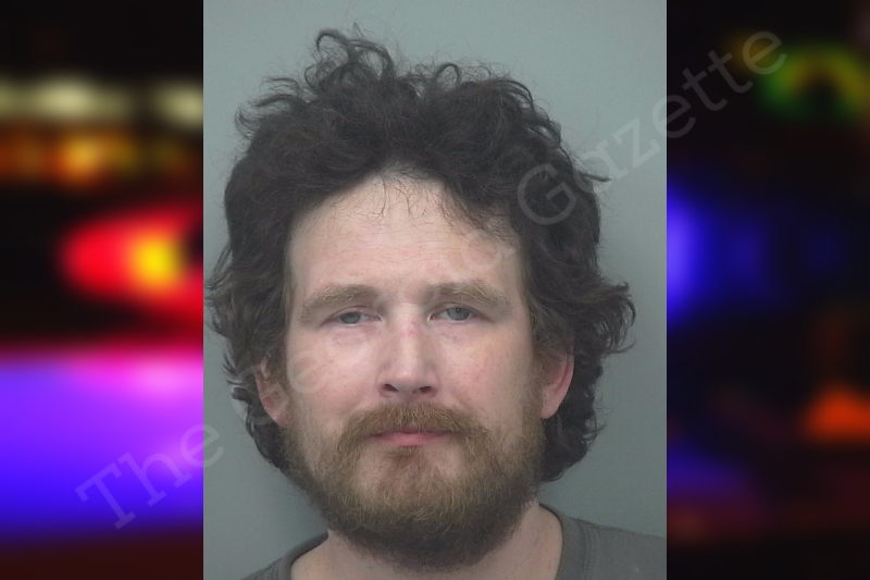 Nathan Gee — Gwinnett County Jail Bookings