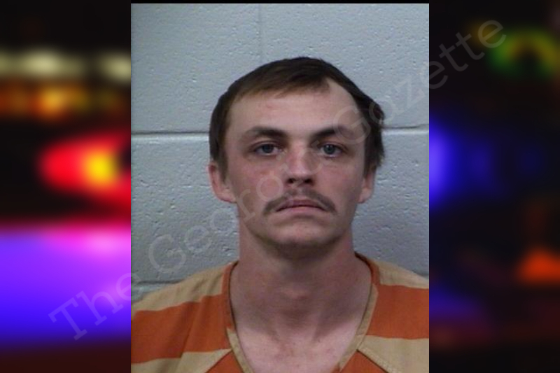 Adam Nyman — Paulding County