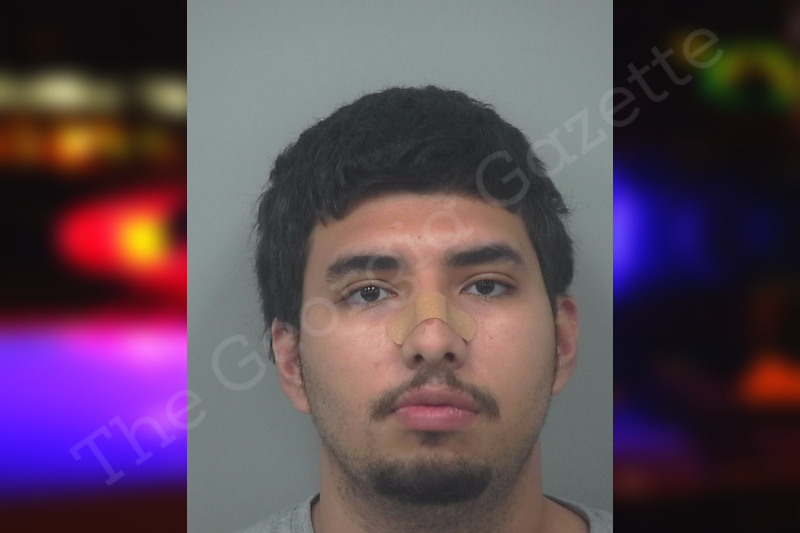 Alberto Alvarez — Gwinnett County Jail Bookings