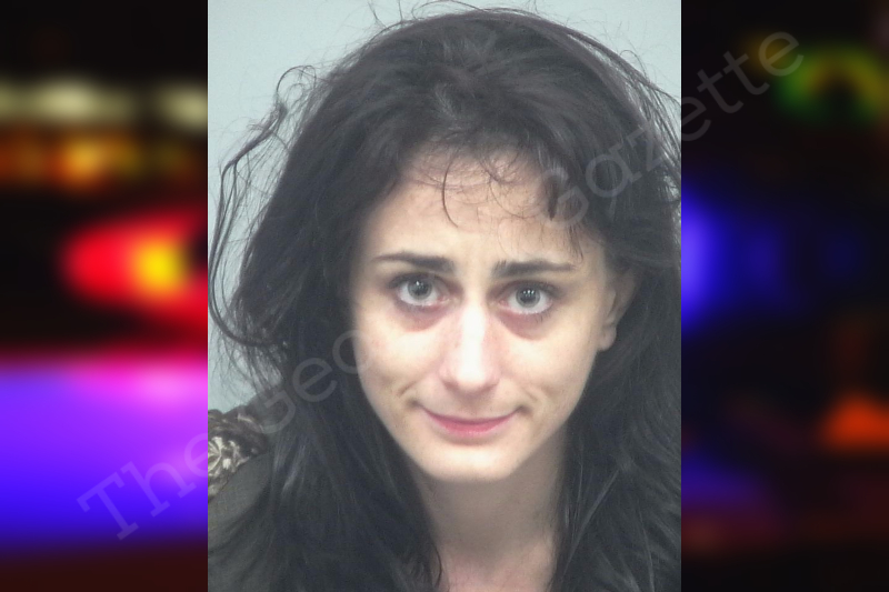 Jessica Herr — Gwinnett County Jail Bookings
