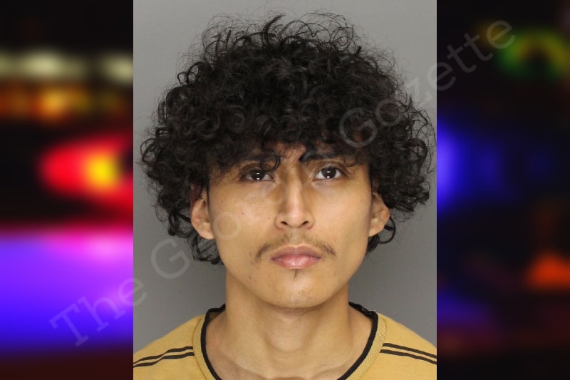 Jonathan Ramirez — Cobb County Jail Bookings