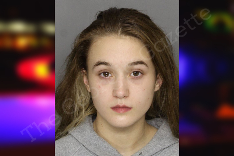 Jayden Stokes — Cobb County Jail Bookings