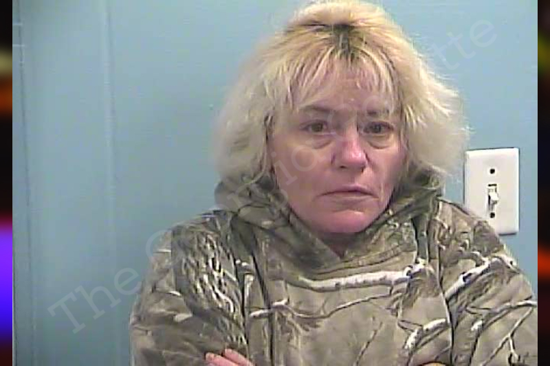 Sharon Wilson — Dawson County Jail Bookings