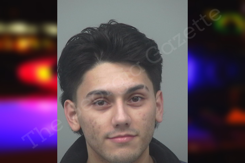 Dylan Sandoval — Gwinnett County Jail Bookings