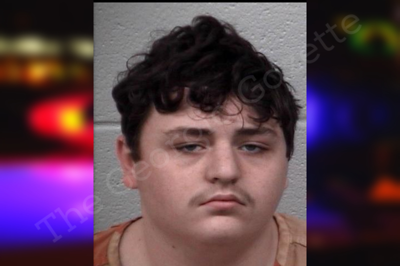 Robert Schur — Paulding County Jail Bookings
