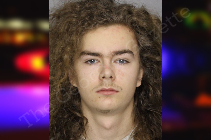 Mason Abraham — Cobb County Jail Bookings