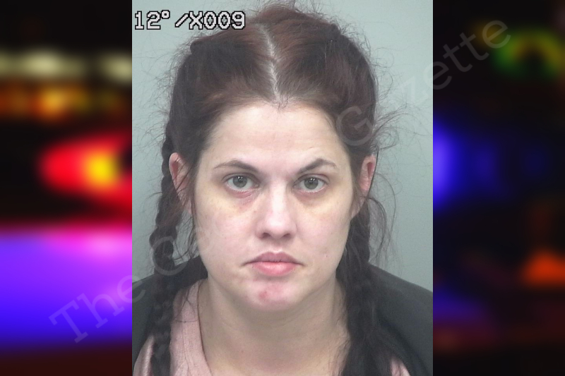 Michelle Greeson — Gwinnett County Jail Bookings