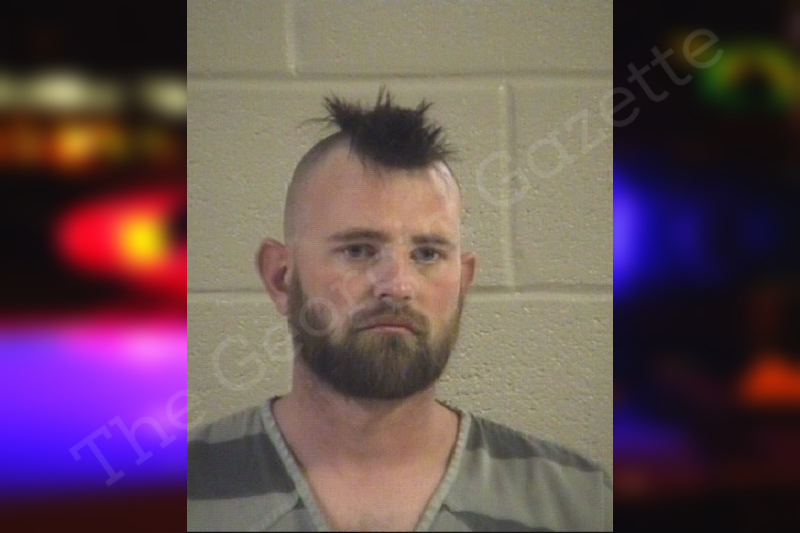 Christopher Chastain — Whitfield County Jail Bookings