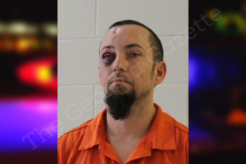 Basil Flournoy — Houston County Jail Bookings