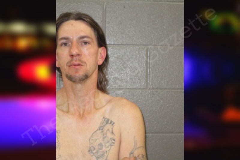 Gary Henson — Banks County Jail Bookings